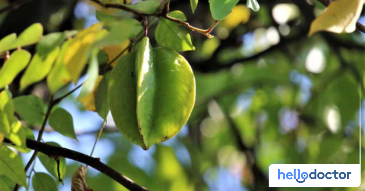 Benefits of Balimbing for Health: Things To Remember