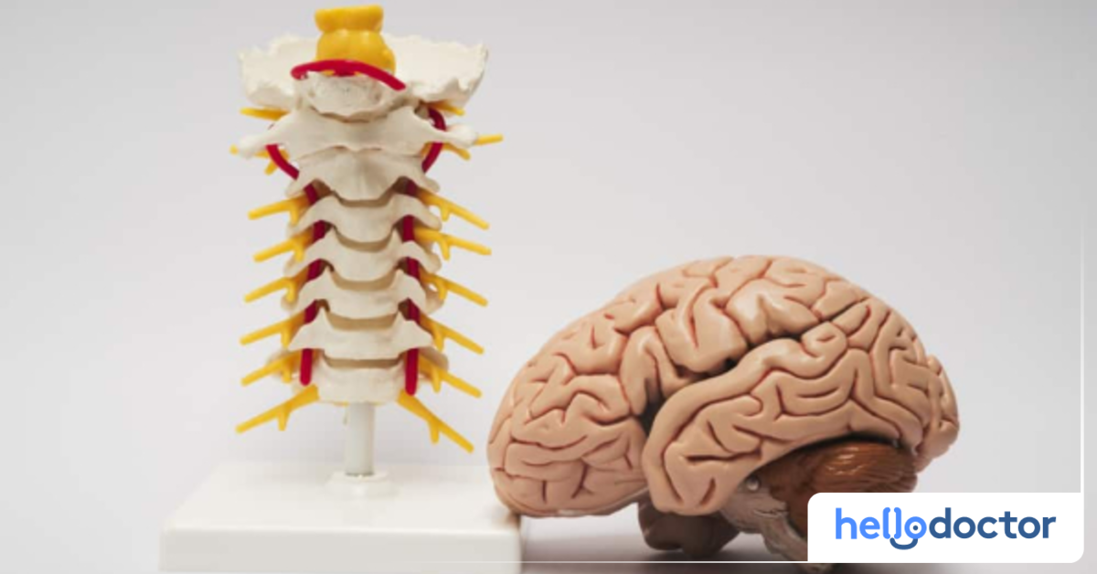 Brain and Spine Disorders: Everything You Need To Know