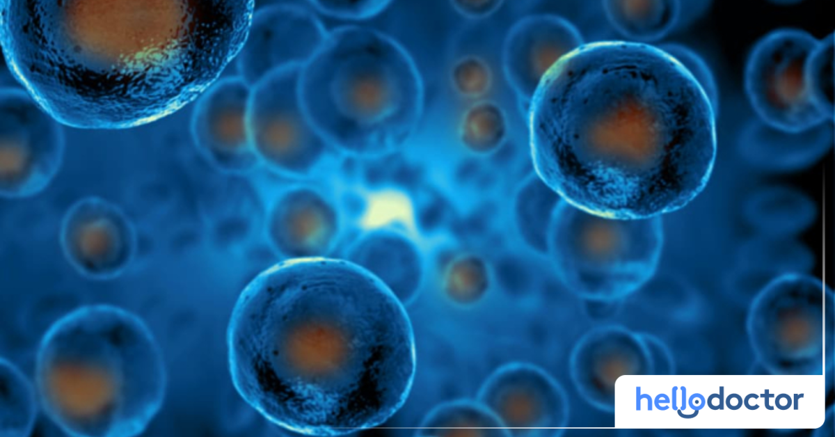 What Are Stem Cells and Why Are They So Important in Medicine?