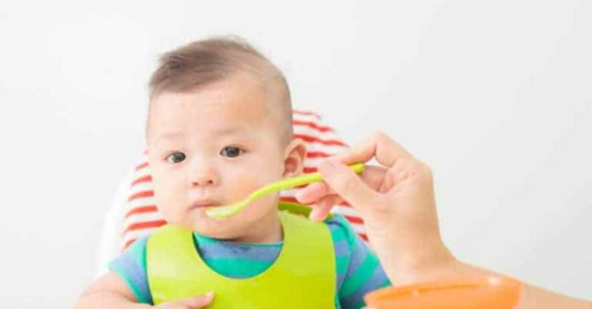 Baby Food Brands In The Market: Guide For Parents
