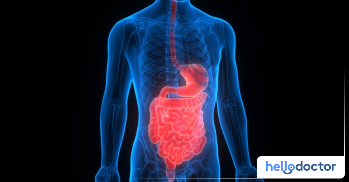 Lahat Ng Tungkol Sa Digestive System Na Dapat Mong Malaman